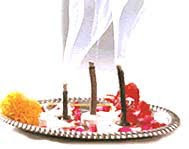 A Mission in Maharashtra to Save the Tree from which Dhoop or Incense ...