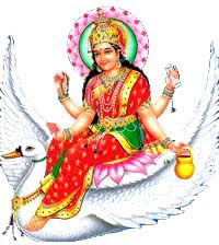 Goddess Brahmani | Hindu Blog