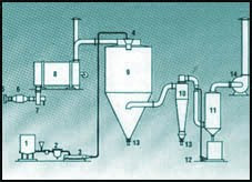 Milk Powder: Making Milk Powdered
