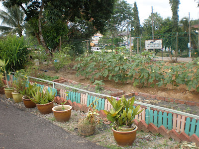 kemassekijang: Mini Kebun Sayur & Mini Zoo