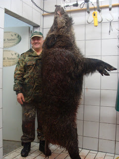 Jagd Blog - das etwas andere Jagdtagebuch: Jungjäger erlegt 138 Kilo-Keiler