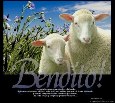 Iglesia La Casa de Oracion "El Buen Pastor": Ven Señor Jesús...