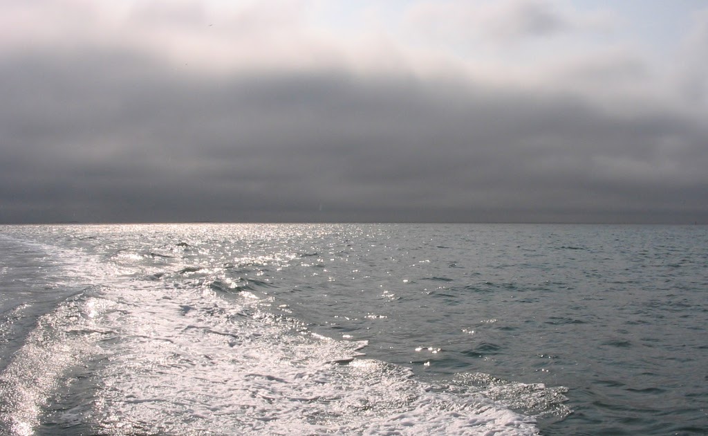 Oceanografie: 1. Noţiuni generale, definiţia Oceanului Planetar, componente