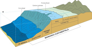Oceanografie: 3. Bazinele oceanice