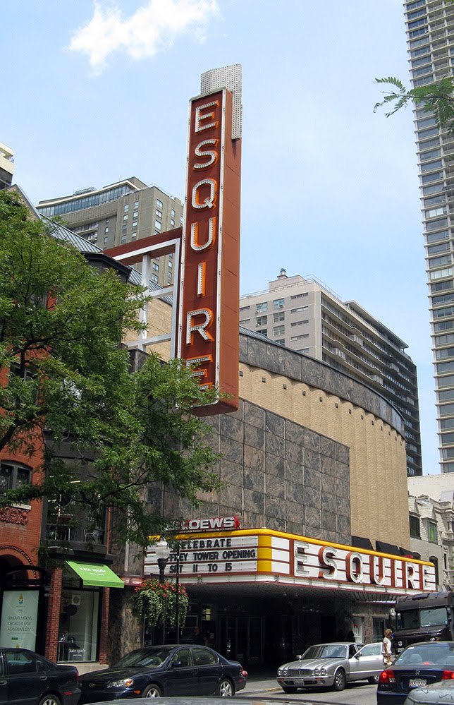 ArchitectureChicago PLUS: The Final Curtain: Urban Remains selling the ...