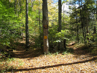 Easy Short Adirondack (ADK) hikes: Roaring Brook Falls Keene Valley (NY)