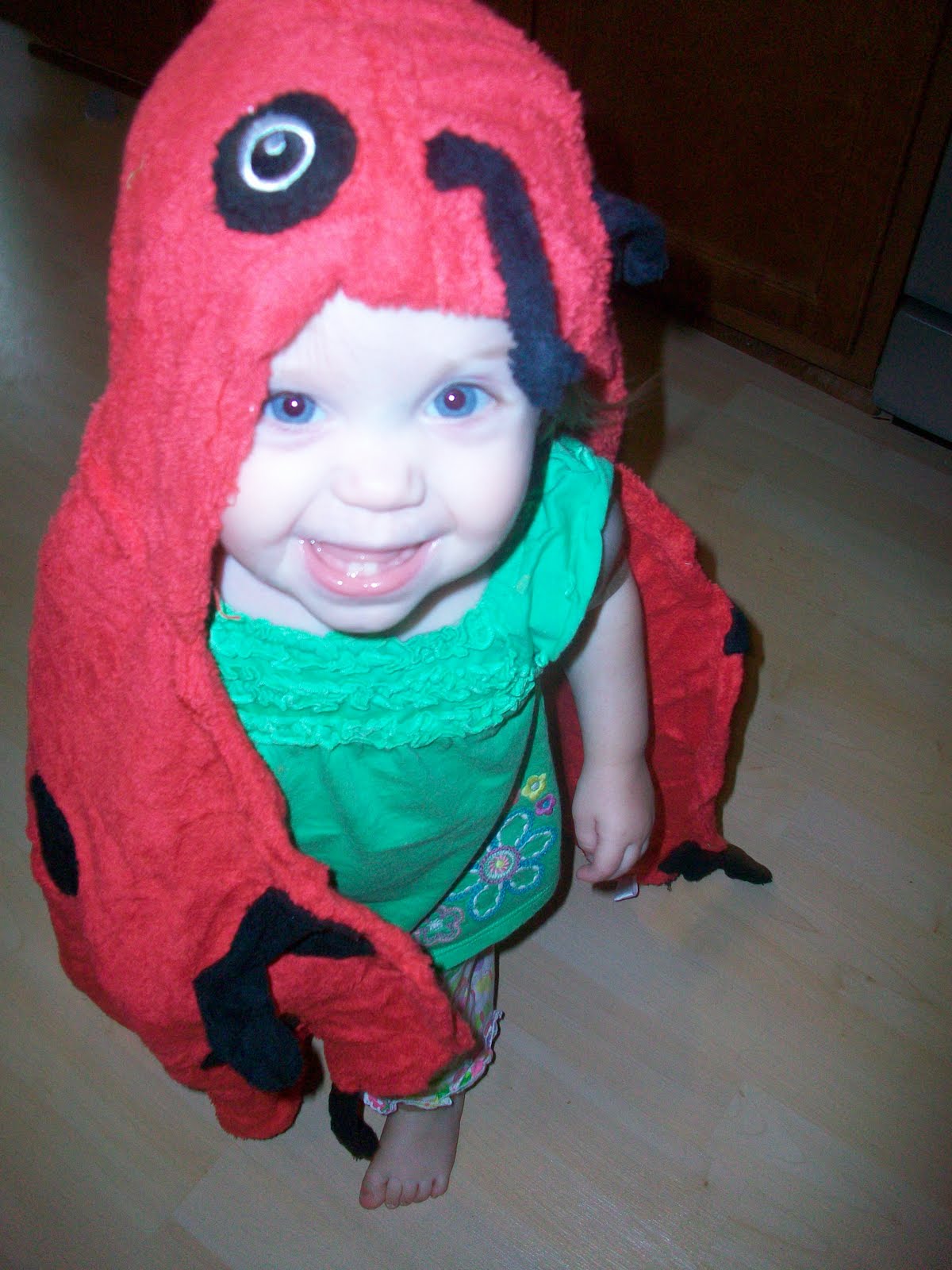 Frugal For My Friends: Kidorable Review and Giveaway! - CLOSED