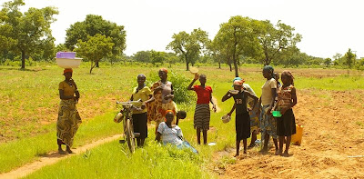 Sam in Ghana: How to Grow Rice