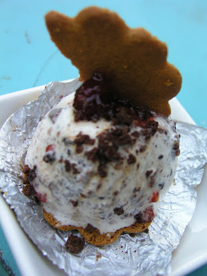 Ferrero Rocher Vanilla Ice Cream - Few Minute Wonders