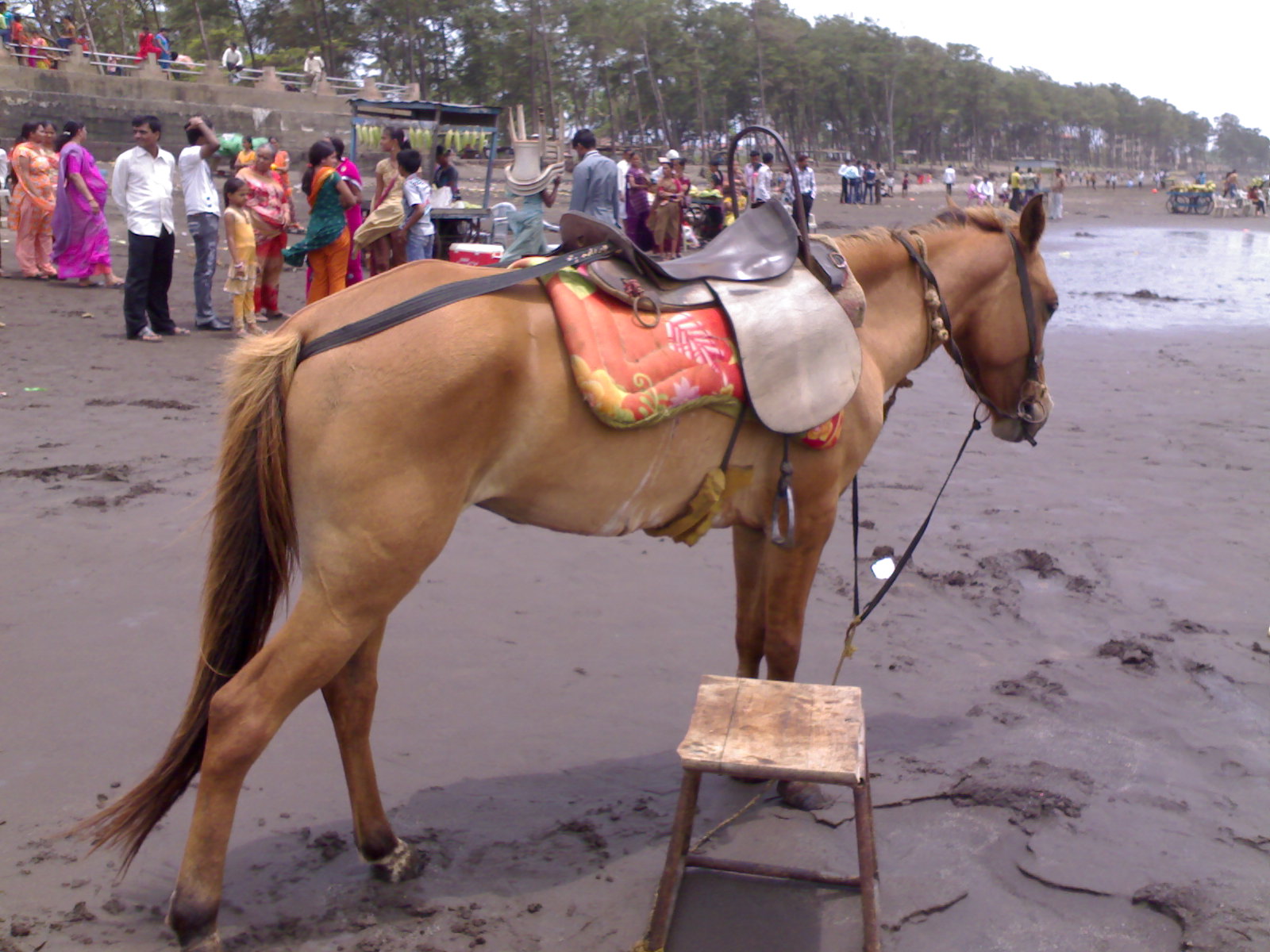 DESTINY: Fun at Tithal beach (Valsaad)