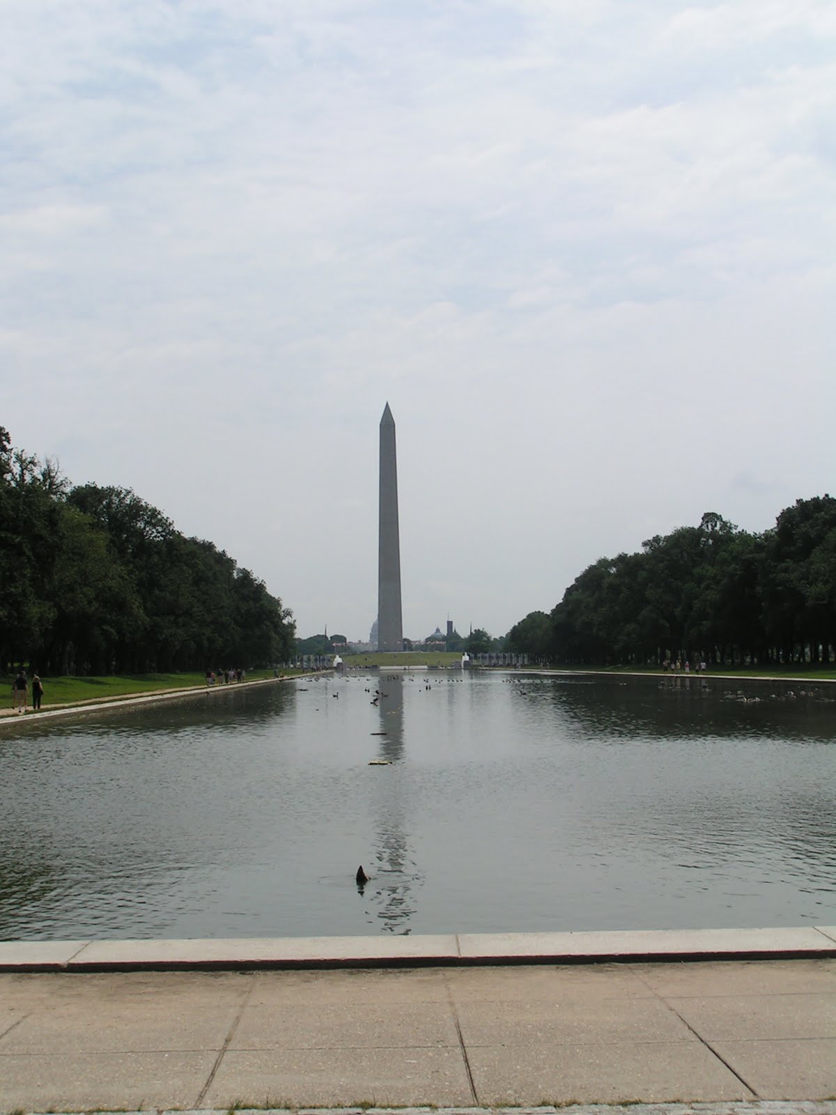 Jami's List...: The National Mall - Washington D.C.