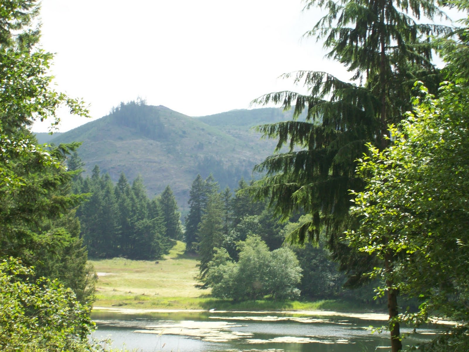 Life: Be In It!: Northwest Trek July 2010