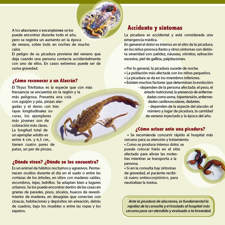 HOSPITAL CORONDA: Alacranismo