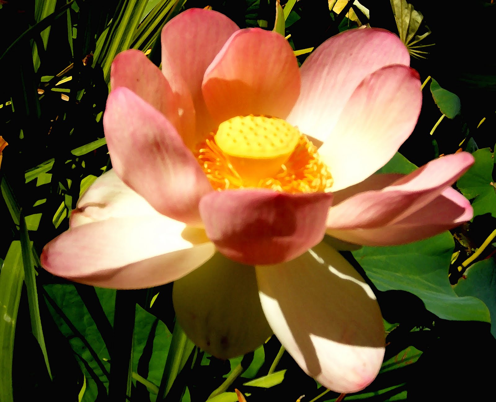 aina libe: abril 2010