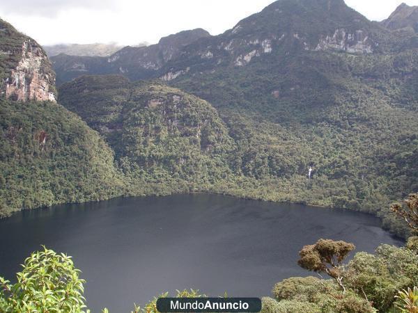 LA CAPITAL DE LA ALEGRIA...¡ LUYA !: GENEROSIDAD DE LONGAR