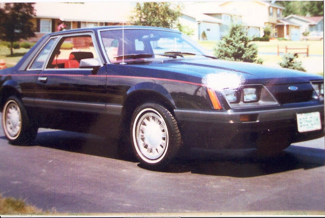Mustangs: 1980 Mustang