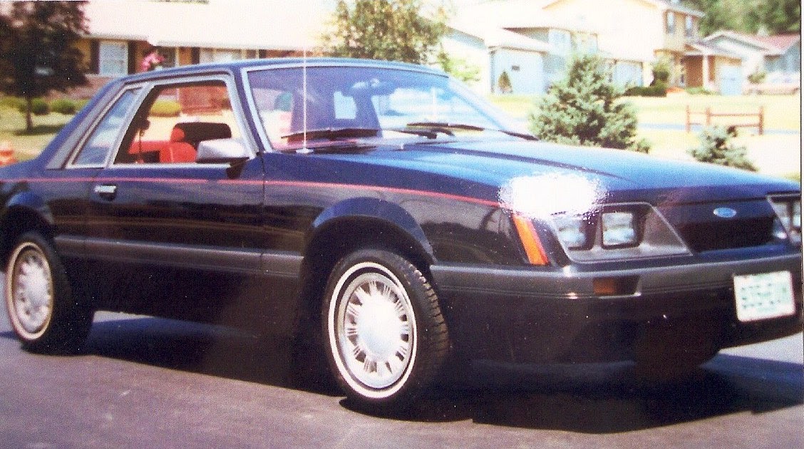 Mustangs: 1980 Mustang