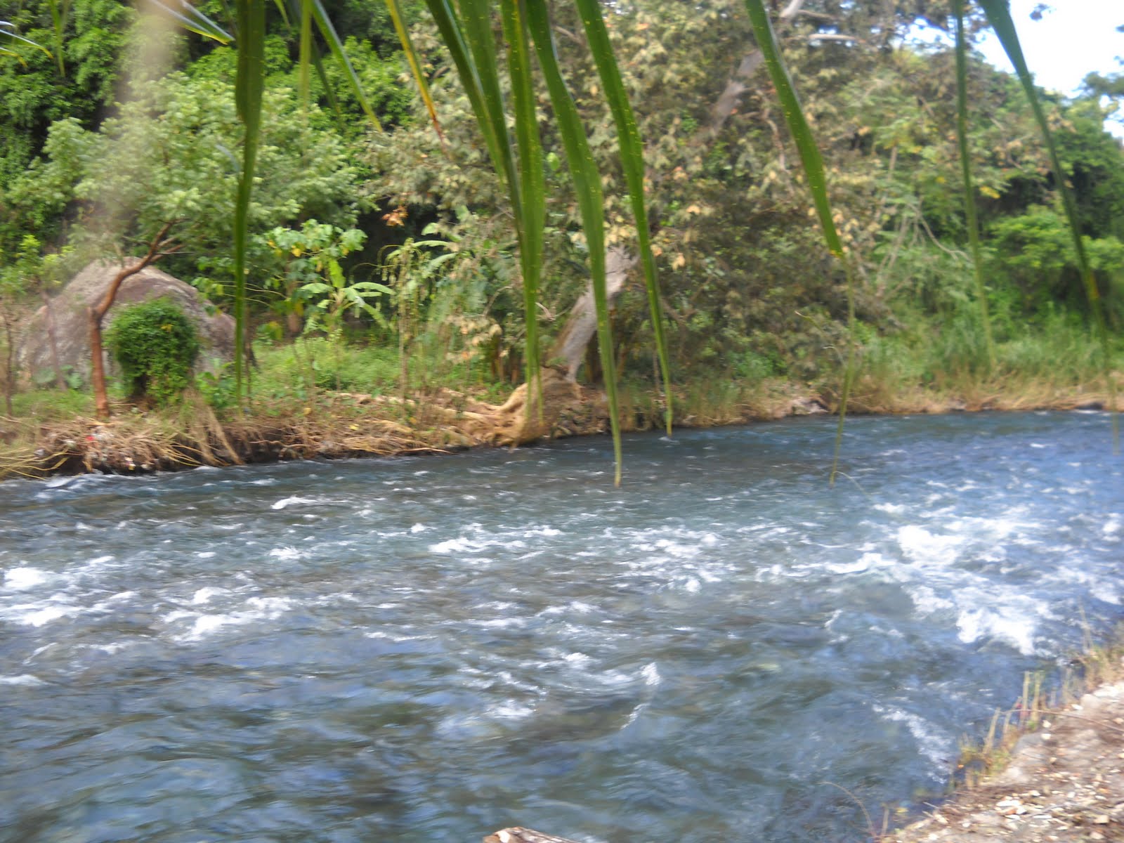 Andando Caminos con RBK: Río Actopan: Trapiche del Rosario, El ...
