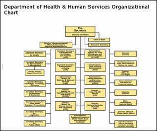 Orgchart Organizational Chart Software by OrgchartPro.com: Sample ...