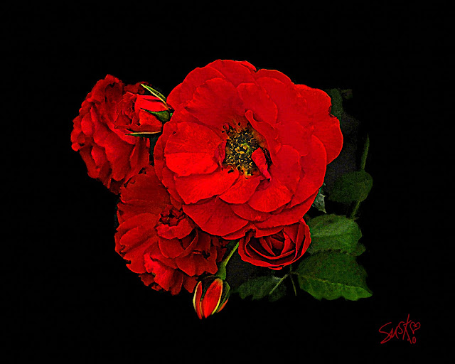 Paintings-of-Artists-Original-Unusual- Art: Painting Of Red Roses