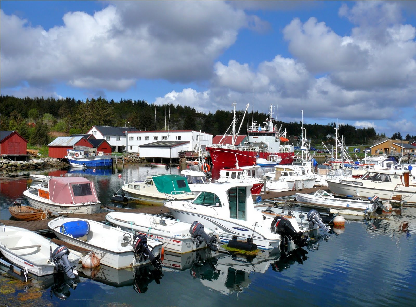 MV FRAM EXPEDITION BLOG: Norway at its best