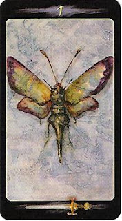 What insect is on Ace of Swords from Tarot of the Secret Forest ...