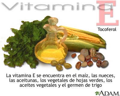 Las Vitaminas: Vitamina E