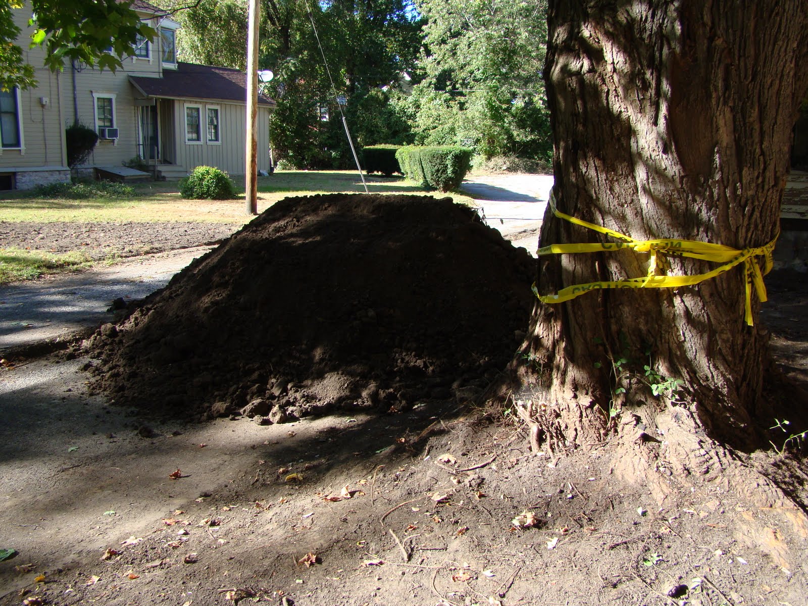 This Old Hampshire House: What's the dirt?