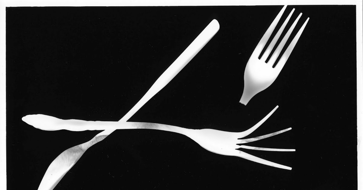 Through the Lens: Photograms