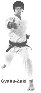 KARATE CINTURON BLANCO: TSUKI WAZA