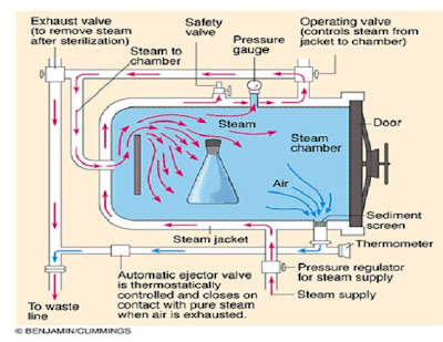 Intelfood: STERILIZATION