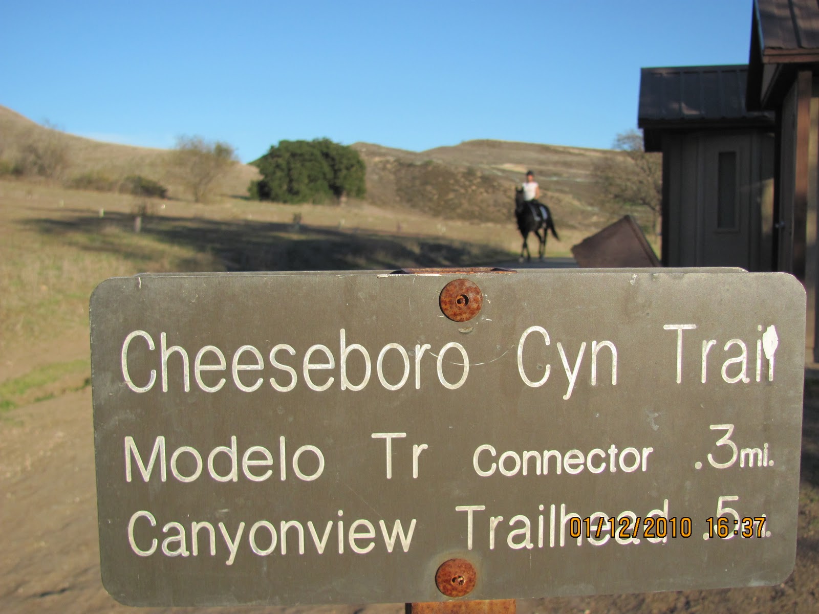 1000 Hikes in 1000 Days: DAY 17: CHEESEBORO CANYON TRAIL HEAD