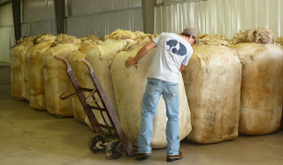 Wild Rose Farm: Wool Pool Today!