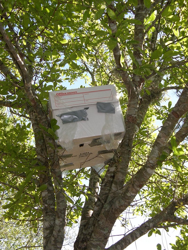 5-gallon pail for swarm traps? | Beesource Beekeeping Forums