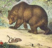 Terrierman's Daily Dose: Black Bear vs. White Snake