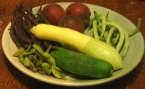 Orthodox Mothers Digest: Apostles Fast Menu