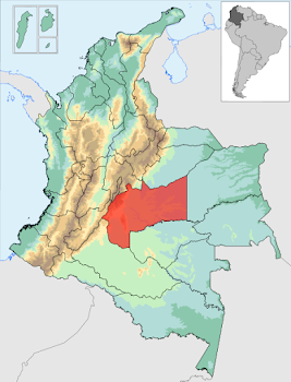 ¡Viva el Meta!: DIVISIÓN ADMINISTRATIVA - META