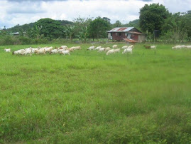 AL RAZZAQ GOLDEN RESOURCES RANCH @ INAS - JOHOL, NSDK