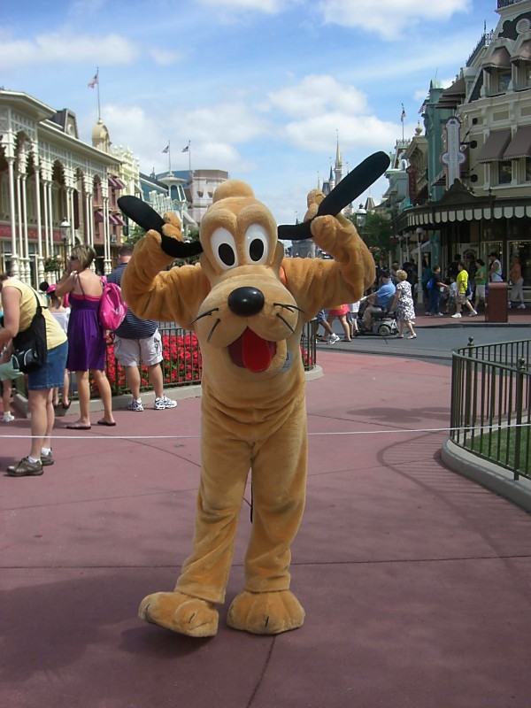 Unofficial Disney Character Hunting Guide: Magic Kingdom Characters