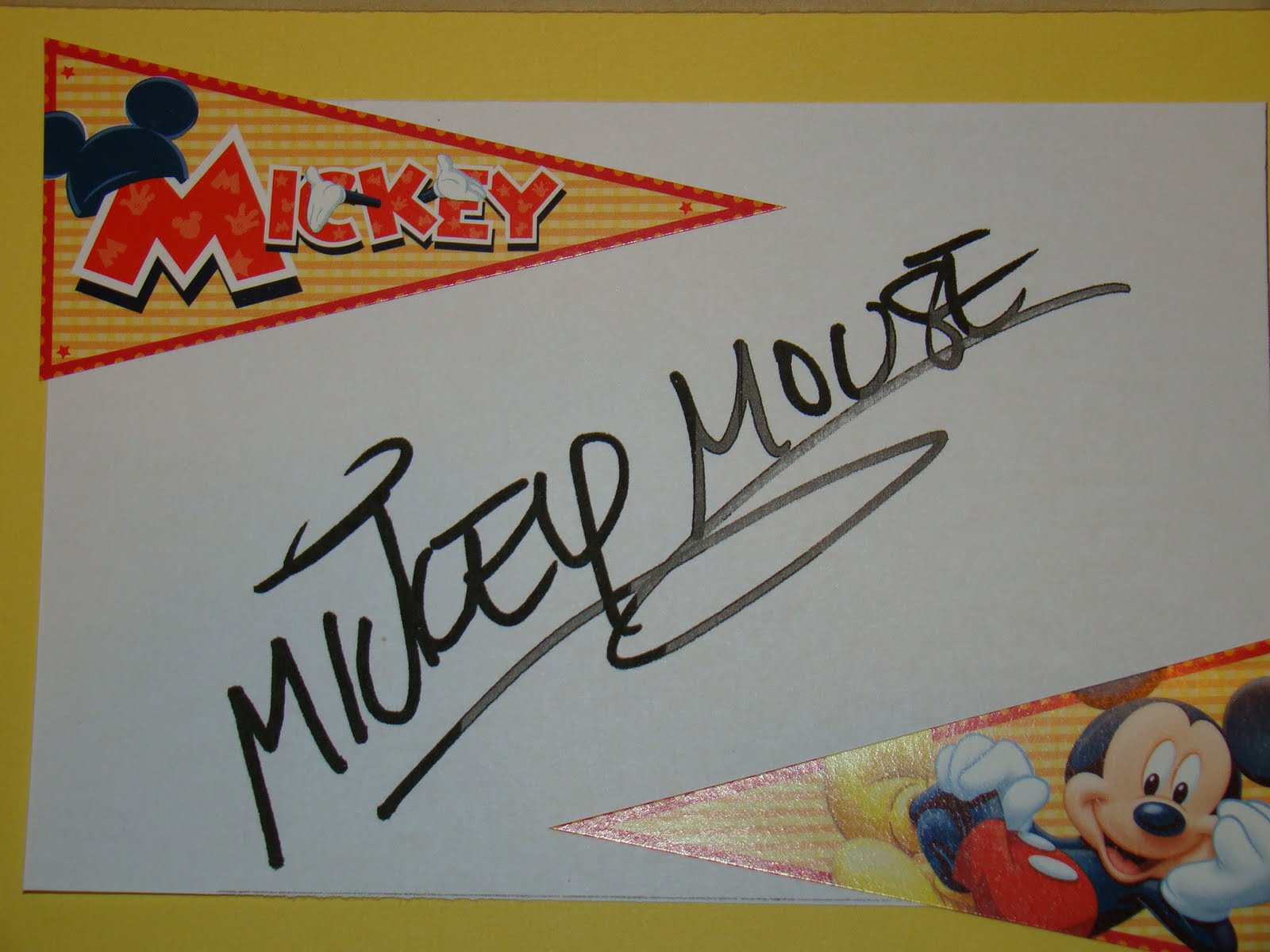 Unofficial Disney Character Hunting Guide: Character Autographs!