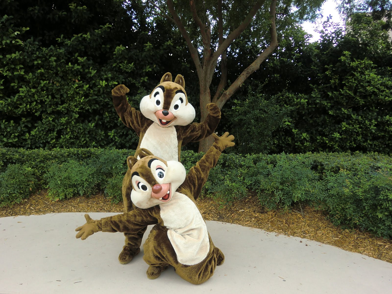 Unofficial Disney Character Hunting Guide: Epcot Characters