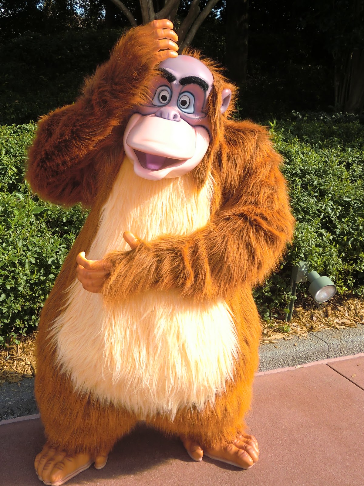 Unofficial Disney Character Hunting Guide: Character Training Random Spots