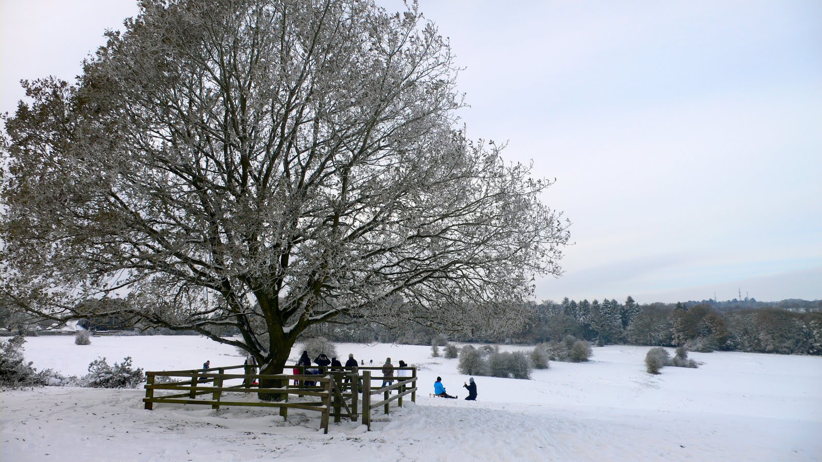 Additional Photo's of Oxford Daily Photo: Oxford Winter Wonderland