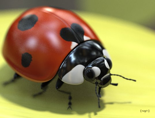 Refachadon: catarina