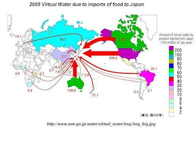 Ever heard about "Virtual Water"?