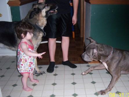 Signing with your baby - Family Paws Parent Education