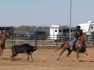 Speed Williams Team Roping: Speed's PhotosSpeed Williams Team Roping Blog