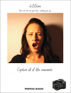 Betsys Photo Communication Blog: Assignment 4, facial expression ads