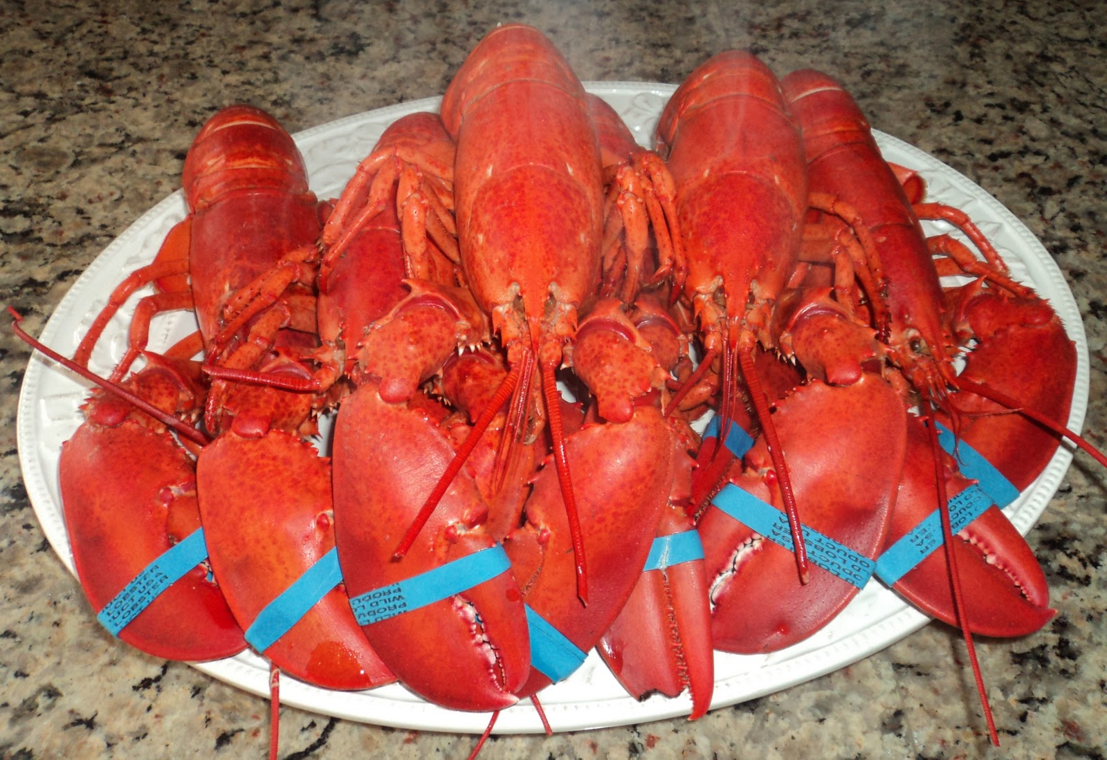 YamDankee: Christmas Eve Eve tradition #2: Lobster Stew