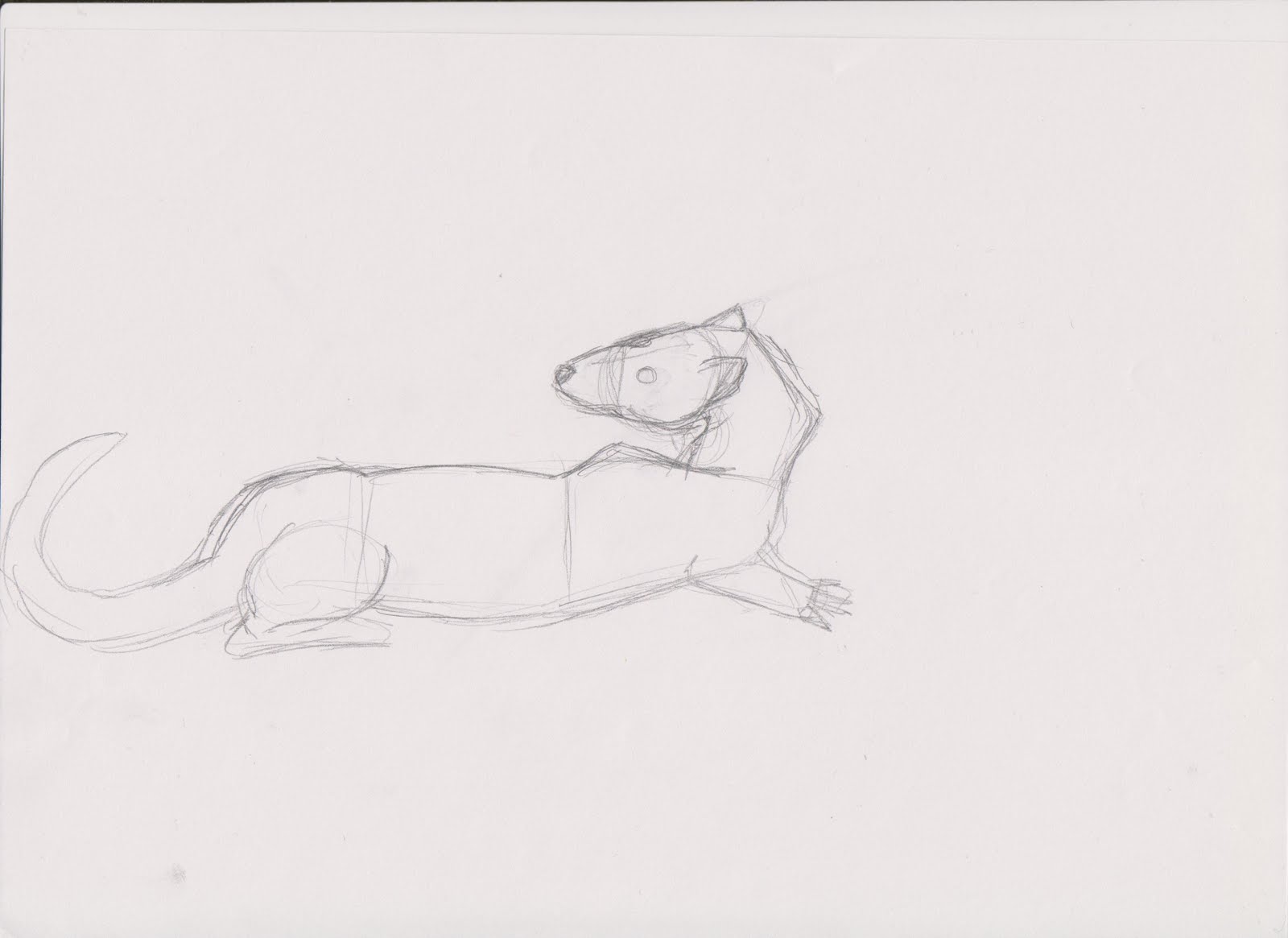 New Start: Drawing Weasels again